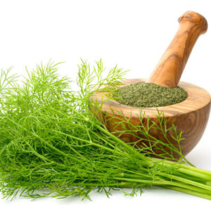 Dill | Food | True Food Fact
