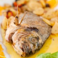 Jewfish | Food | True Food Fact